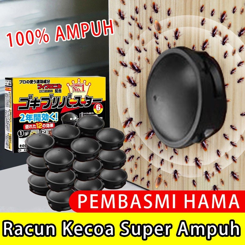 Jual Racun Ecoa Ezhangqing Racun Pemba Erangga Dan Ecoaracun Ecoa ...