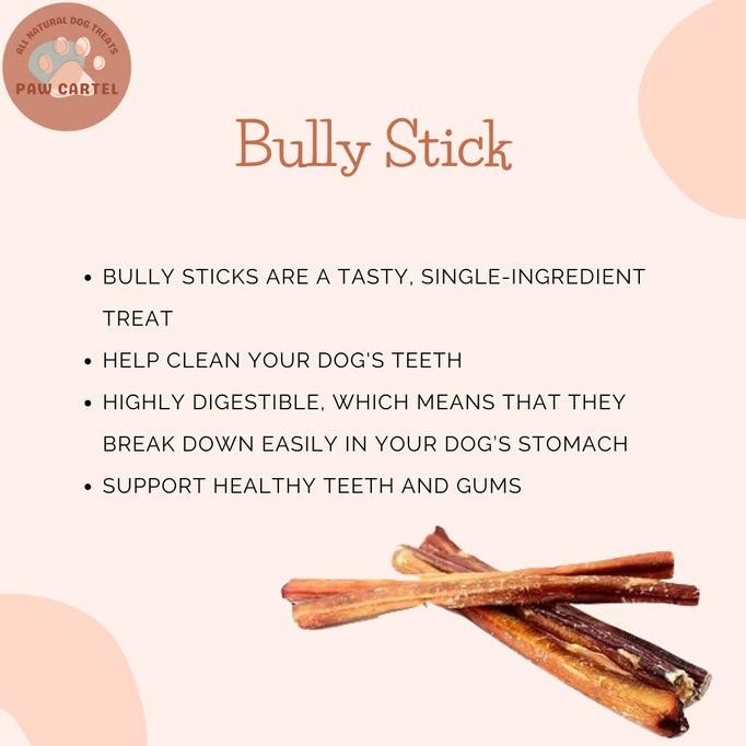 Jual Produk Baru!! Paw Cartel Dehydrated Bully Stick Snack Anjing ...