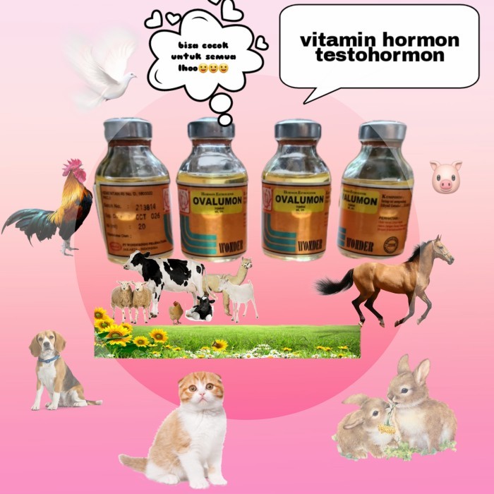 Jual ovalumon 20ml obat hormon estradiol vitamin suntik birahi ayam ...