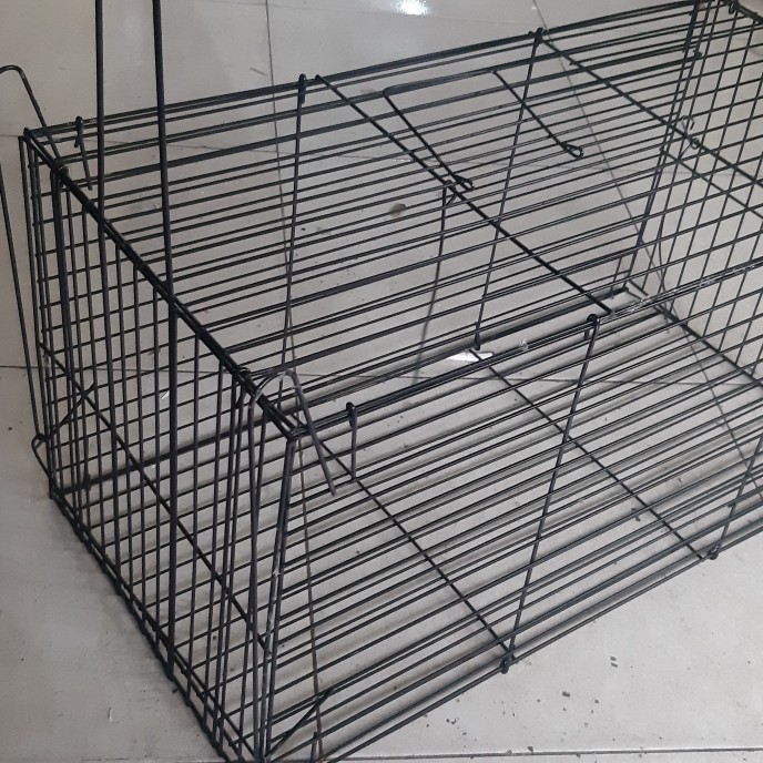 Jual Perangkap Musang Kucing Luwak | Shopee Indonesia