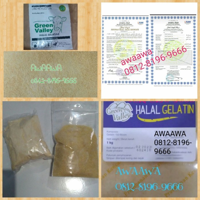 Jual BEST 500 GR SERBUK MURNI BUBUK GULA GELATIN GELATINE POWDER SAPI ...