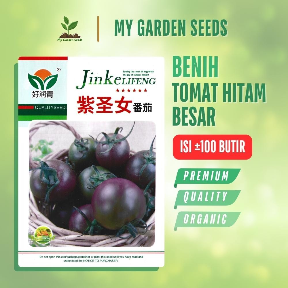 Jual BENIH TOMAT HITAM BESAR KEMASAN IMPORT ± 100 BUTIR | Shopee Indonesia