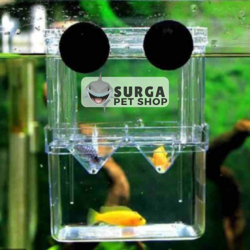 Jual Sunsun Breeding Box Isolation Box SX 13 Kotak Isolation Isolasi ...
