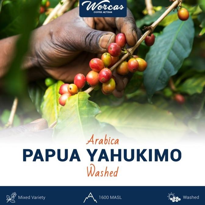 Jual PAPUA YAHUKIMO ARABICA GREEN BEAN 1KG (BIJI KOPI MENTAH) | Shopee ...