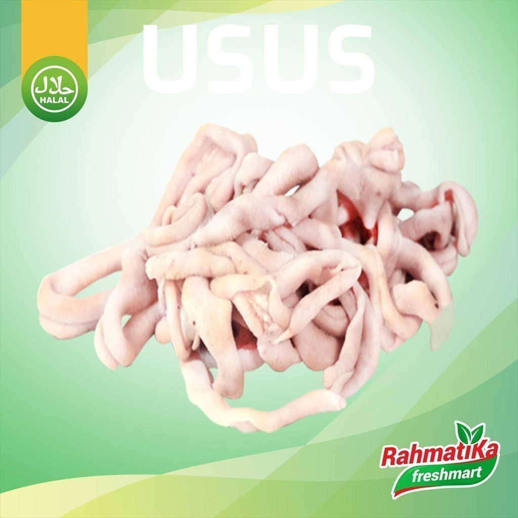 Jual Usus Ayam Segar / Usus Ayam Fresh 1 kg (Ayam Segar) | Shopee Indonesia