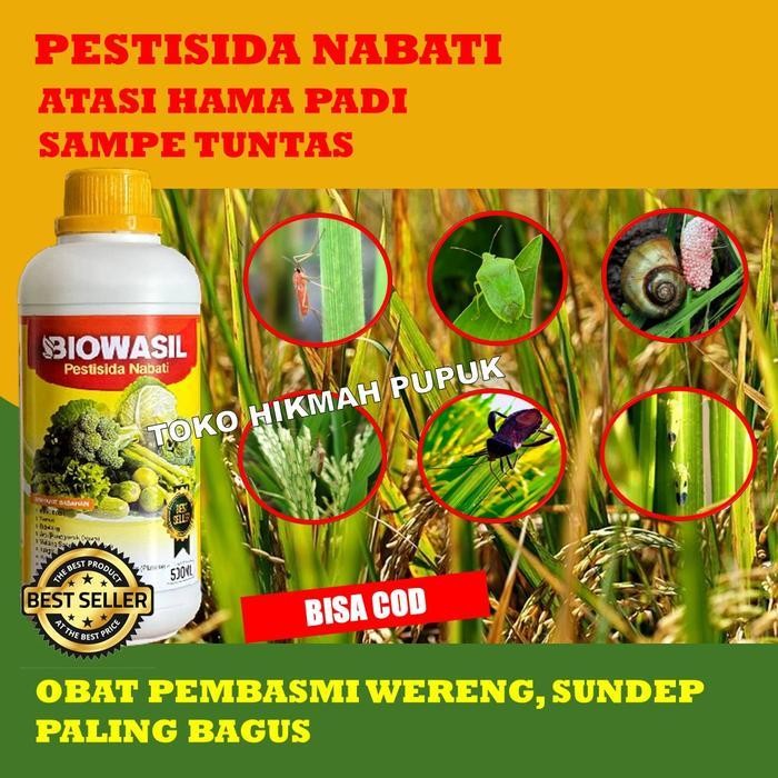 Jual OBAT HAMA ULAT PADI WERENG BIOWASIL 500 ML PALING BAGUS Pupuk Pestisida Pembasmi Hama ...