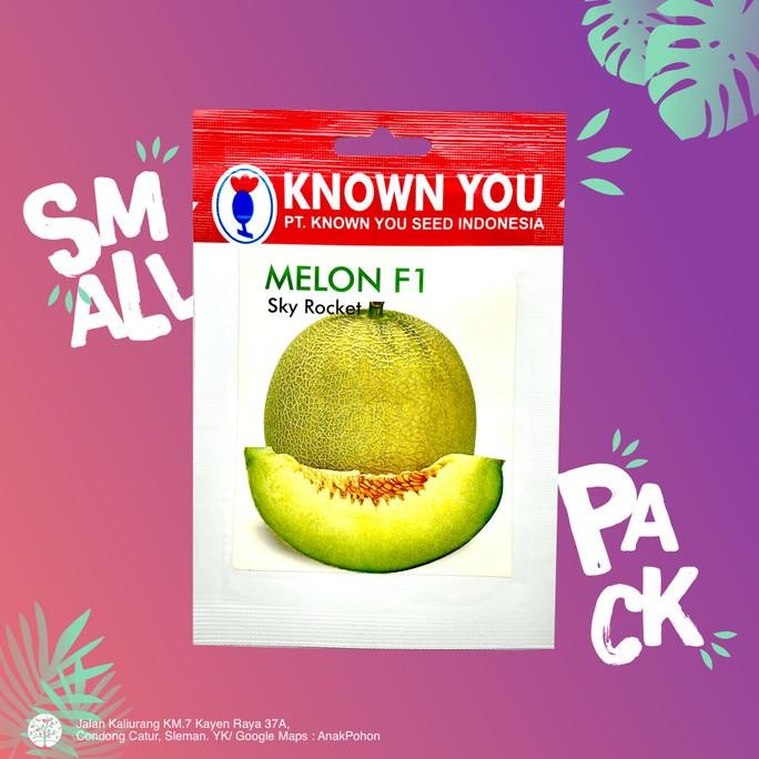 Jual (1 PACK) Benih Melon F1 Sky Rocket - Known You Seed - 8 Seeds ...