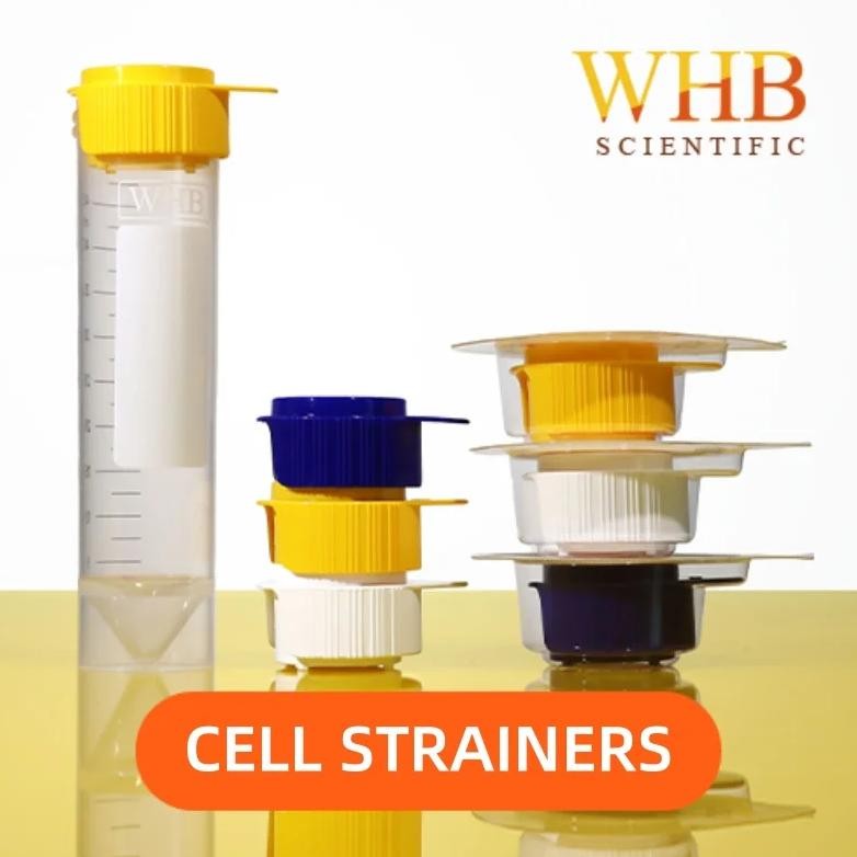 Jual Cell Strainer Sterile 40Um70Um100Um Stackable Cell Screen Nylon ...
