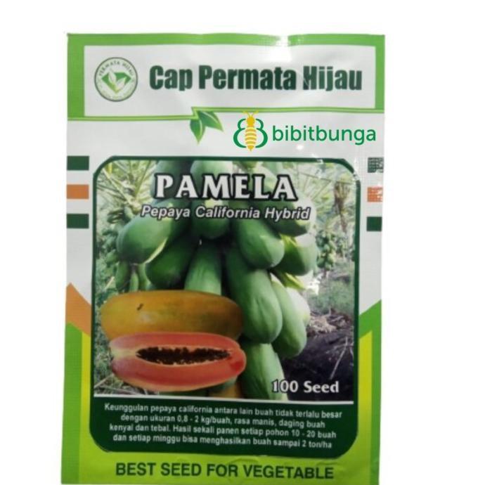 Jual Bibit Pepaya California Pamela F1 100 Biji Tanaman Buah Calina ...