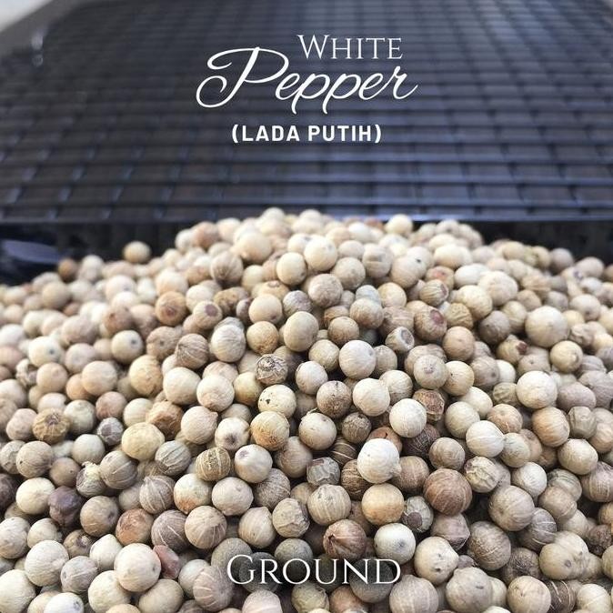 Jual Lada Putih / Lada Putih Butir / Merica / Lada Putih Mentah 1kg ...