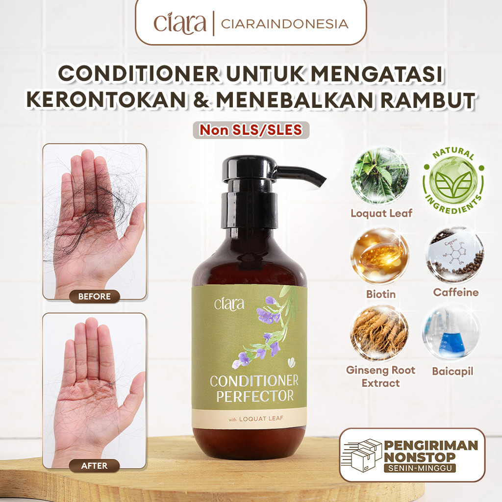 Jual Ciara Conditioner Perfector With Loquat Leaf Kondisioner rambut ...