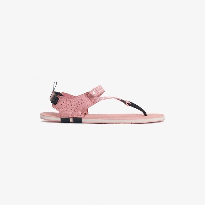 Jual Tapak V1.5 Barefoot Flip Flops (Sandal Pyopp Fledge) - Berry ...
