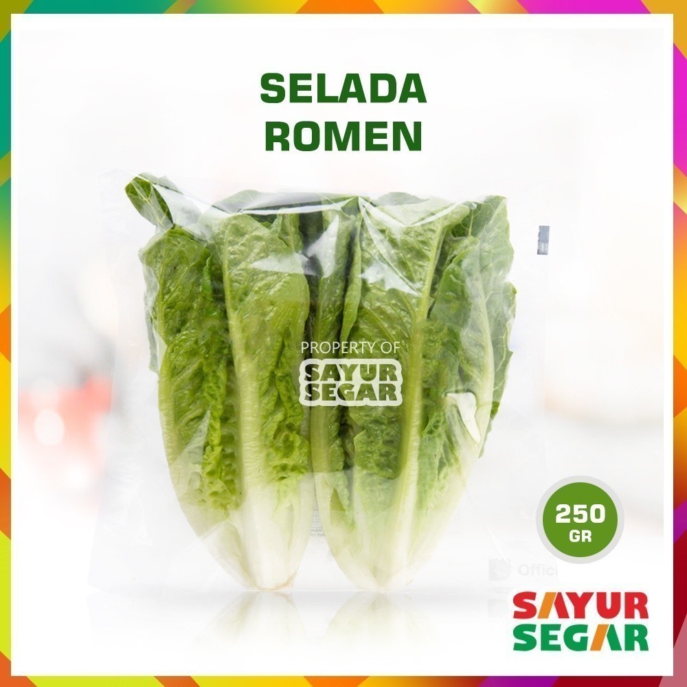 Jual Selada Romen / Romaine Lettuce Hearts 250g | Shopee Indonesia