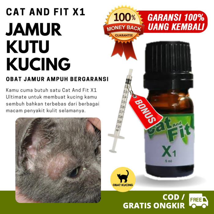 Jual Paket Cat And Fit X1 Dan Shampoo V1 Grooming Anti Parasit Kutu ...