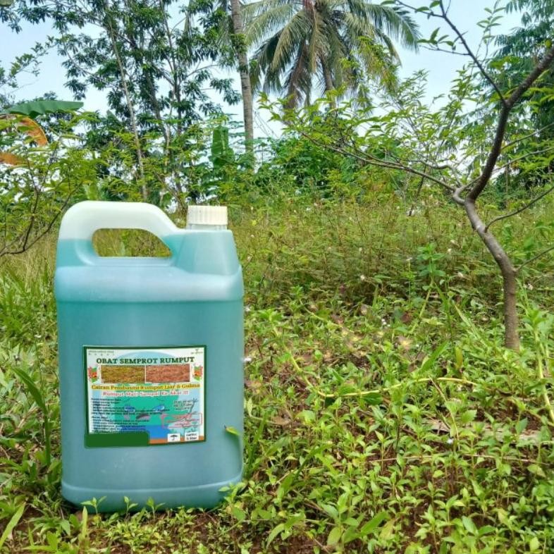 Jual Cairan Pembasmi Rumput Liar & Gulma/5liter Herbisida/Rumput Mati ...