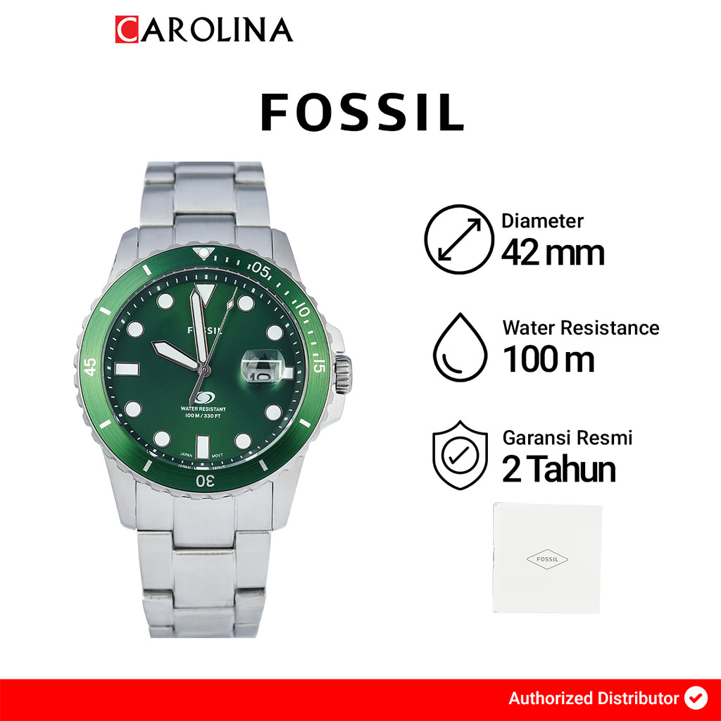 Jual Jam Tangan Pria FOSSIL Blue Dive Three-Hand FS6033 Green Dial ...