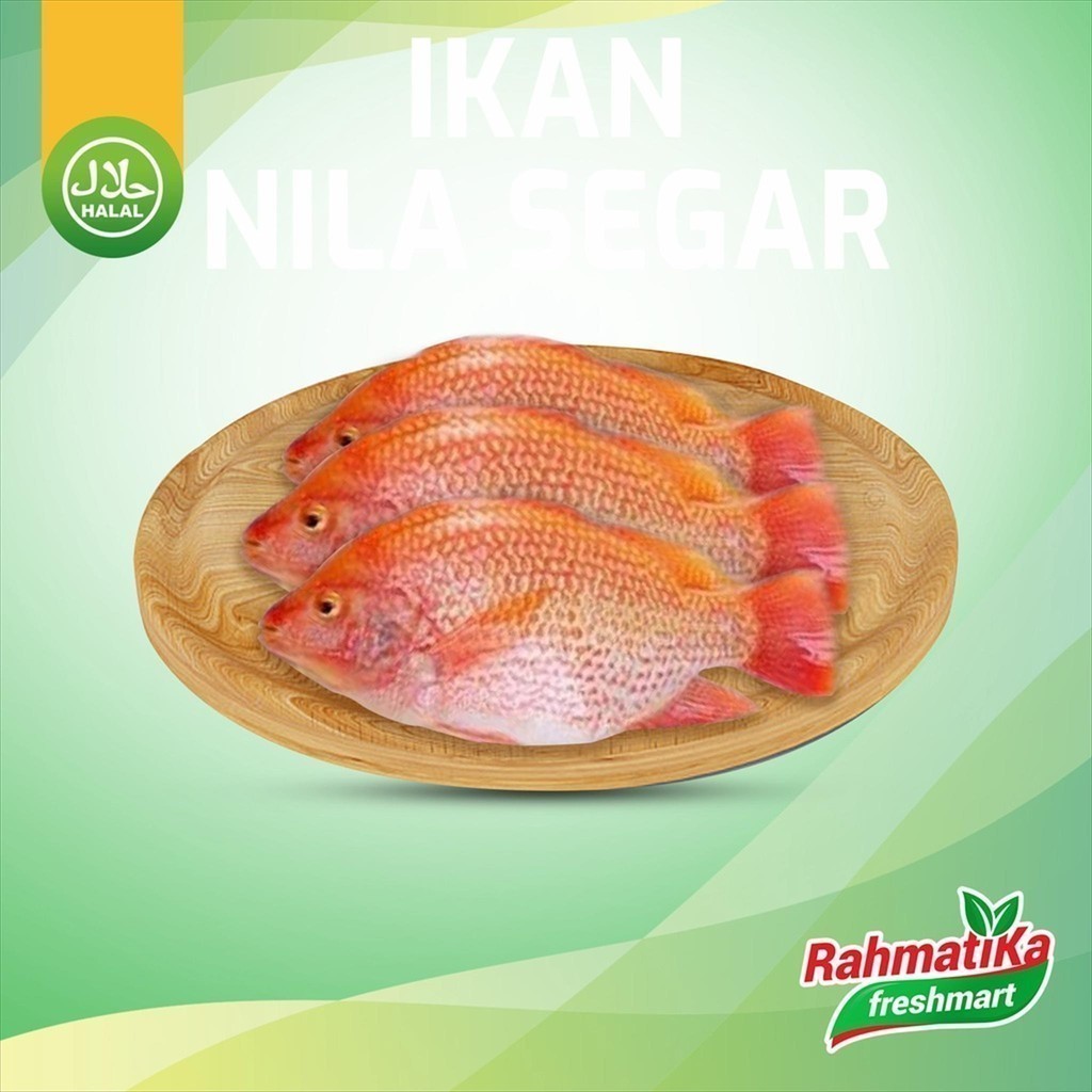 Jual Ikan Nila Fresh / Ikan Nila Segar 500 gram | Shopee Indonesia