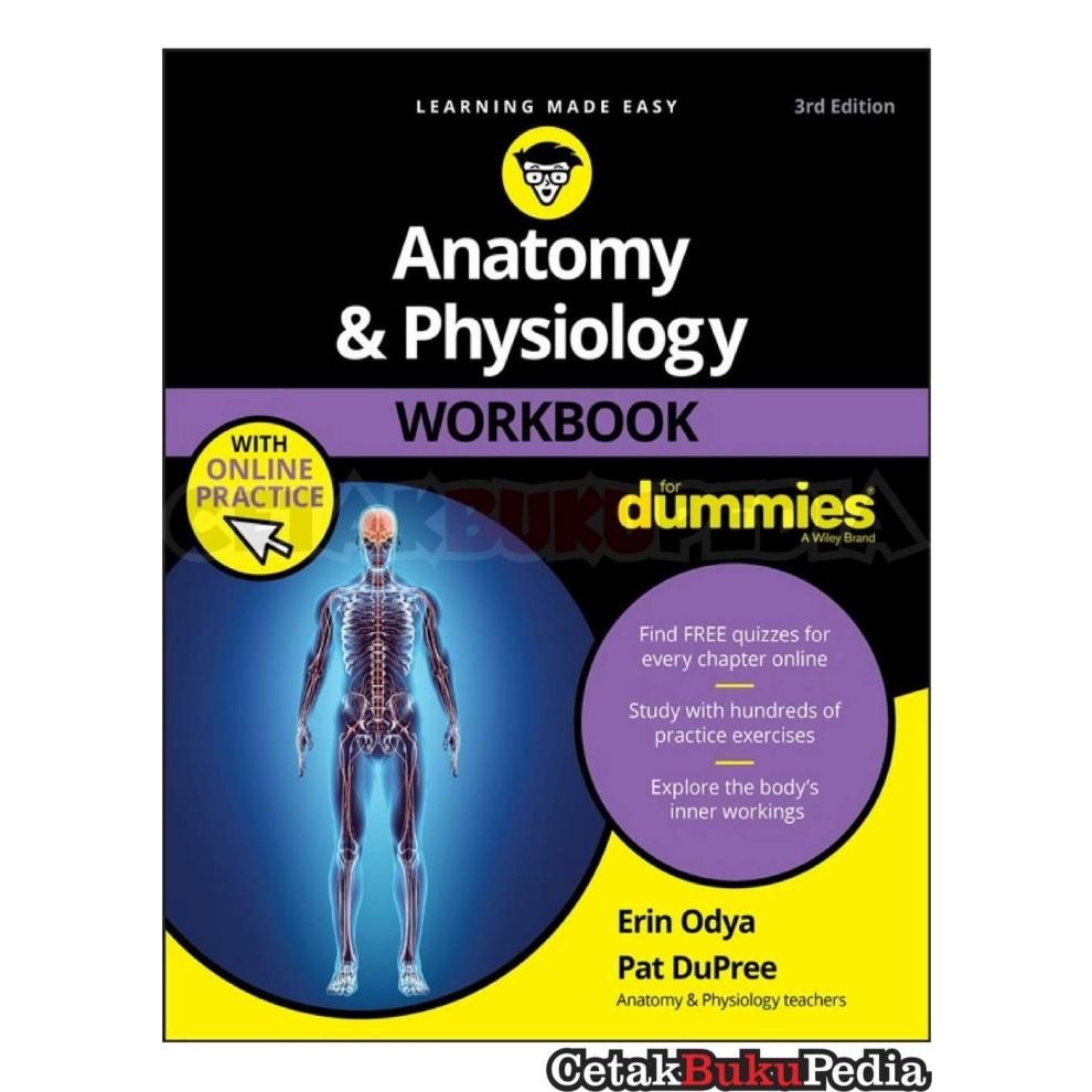 Jual Buku Po Anatomy Physiology Workbook Dummies Softcover | Shopee ...
