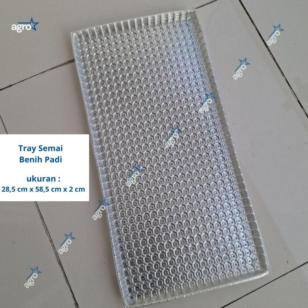 Jual Bisa Cod [Tipe B] Tray Semai Benih Padi / Tray Padi / Tempat Semai ...