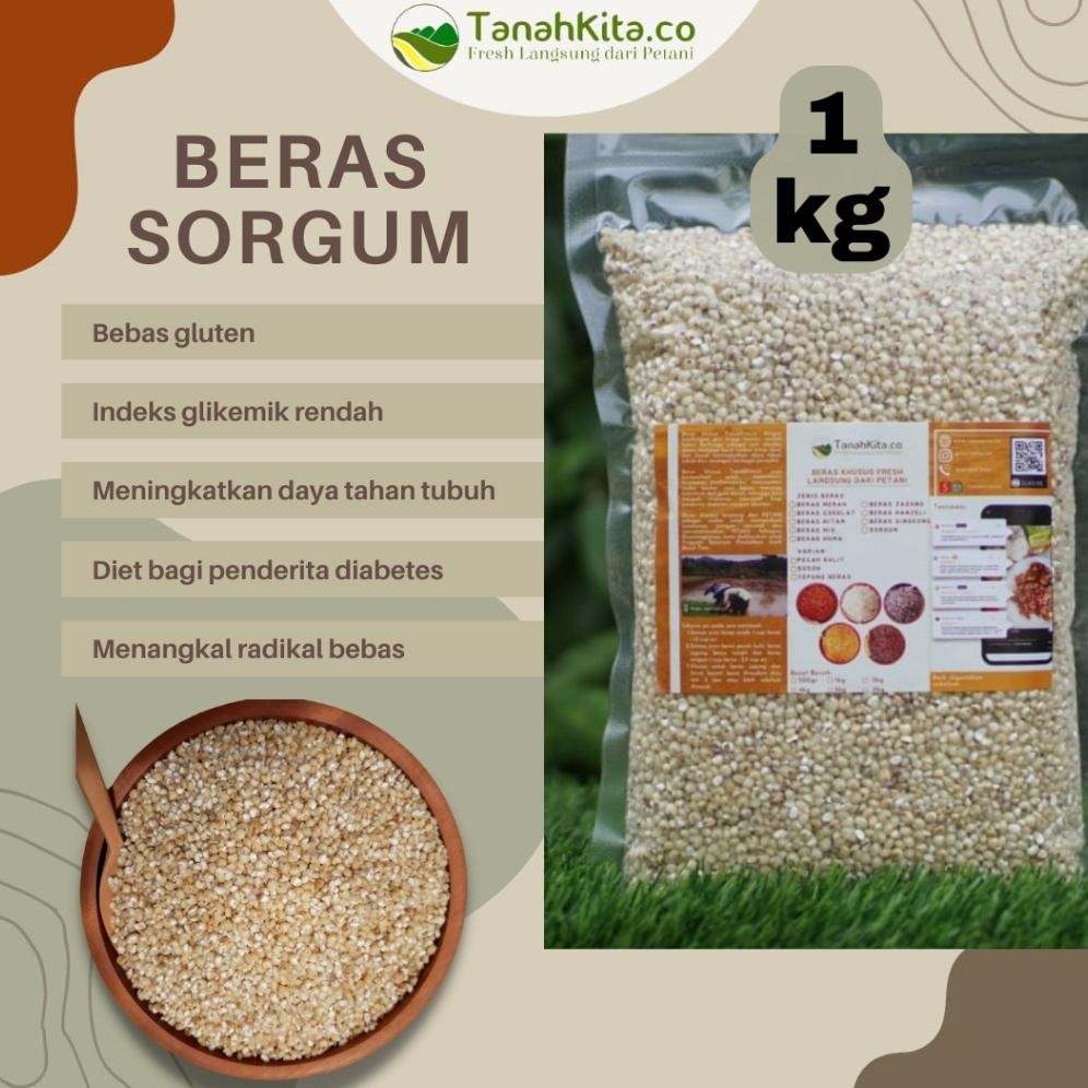 Jual Beras Sorgum Sosoh FRESH Langsung Dari Petani I Sorghum I 1kg ...