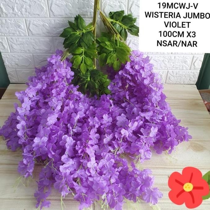 Jual Wisteria Jumbo - 512 bunga juntai bunga rambat bunga juntai ...