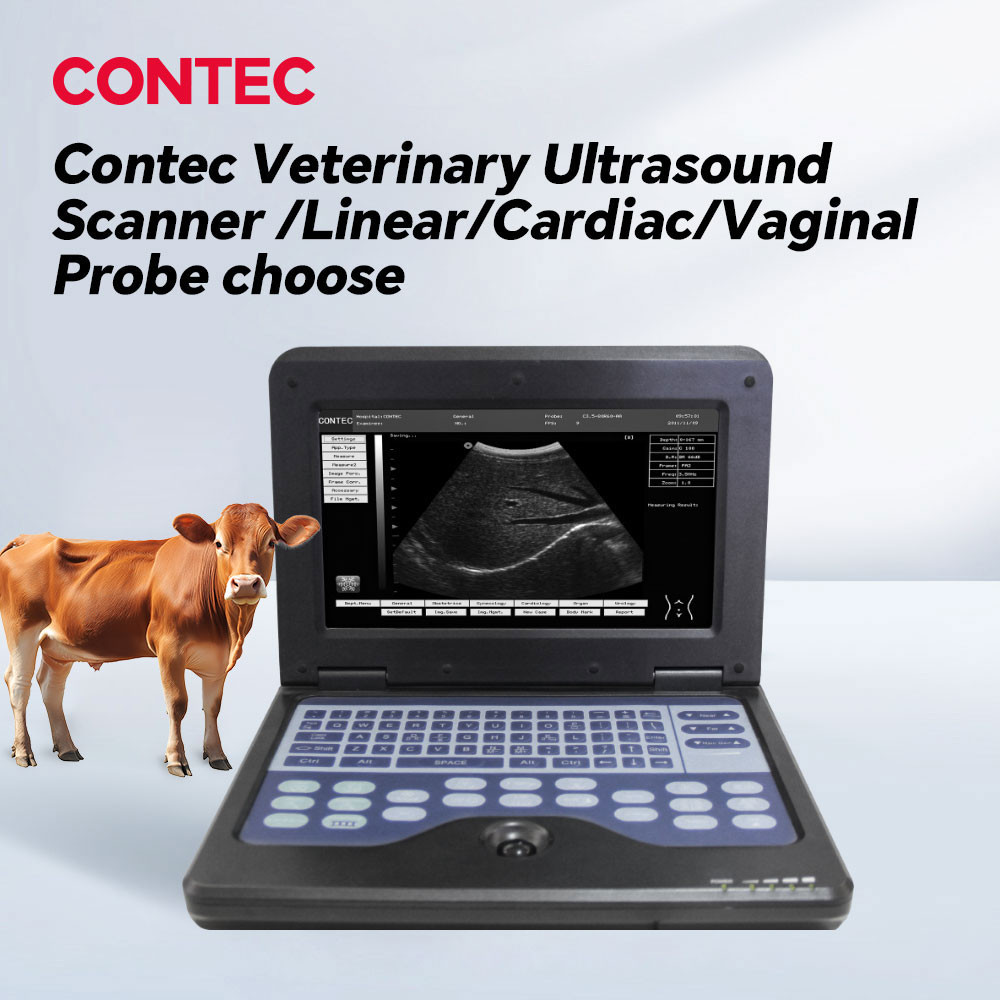 Jual Baru CONTEC Veterinary Laptop Machine Ultrasound Scanner Horse ...