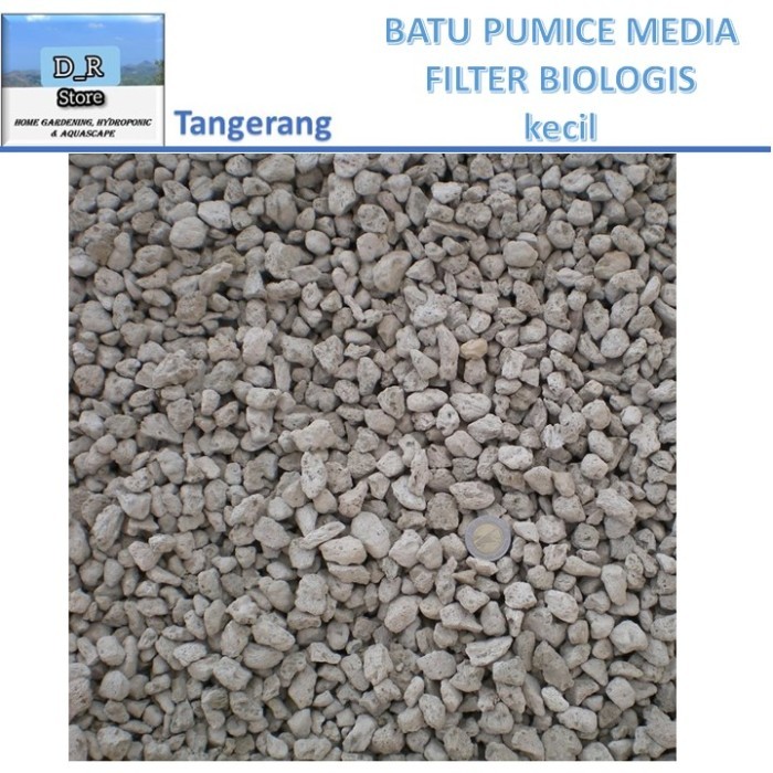 Jual HEMAT BATU APUNG PUMICE STONE AKUARIUM FILTER DR TGR | Shopee ...