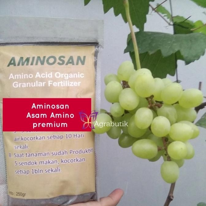 Jual PREMIUM Aminosan Asam amino premium aneka tanaman buah anggur ...