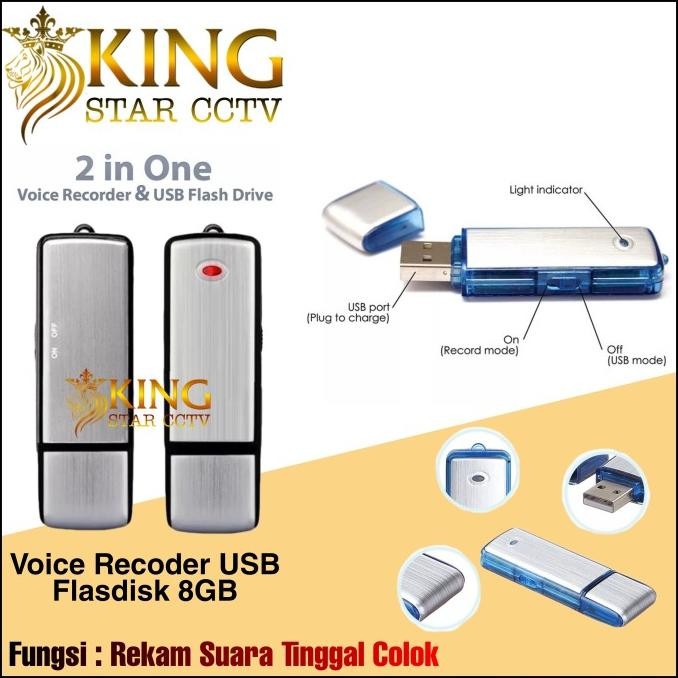 Jual ALAT PEREKAM SUARA VOICE RECORDER FLASDISK USB SOUND SPY RECORDER ...