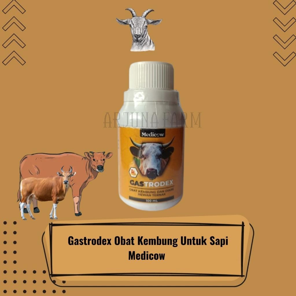Jual Medicow Gastrodex Obat Diare Sapi Kambing Domba 100Ml | Shopee ...