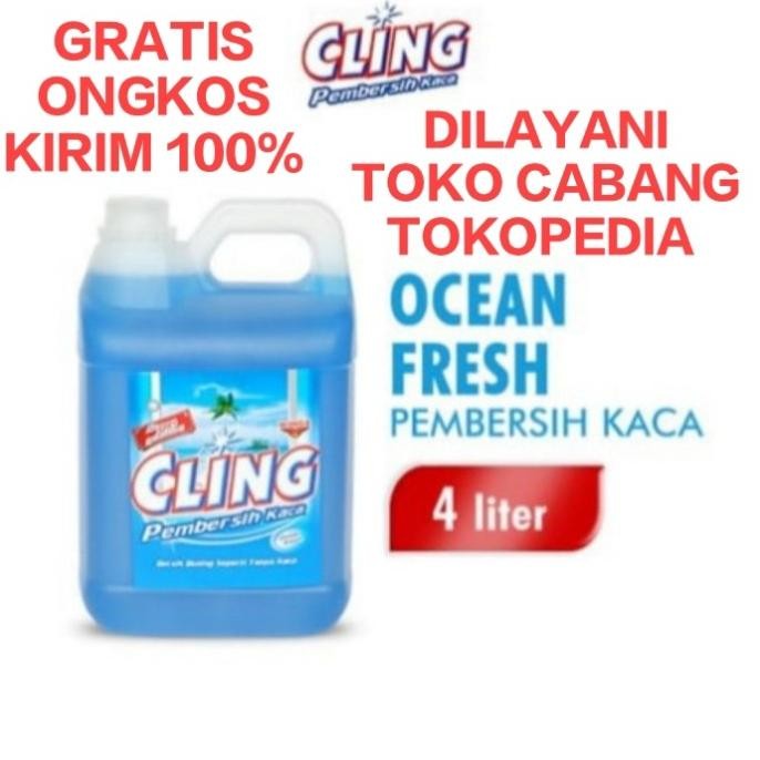 Jual Cling Pembersih Kaca Biru Jerigen 4 Liter Ocean Fresh | Shopee ...