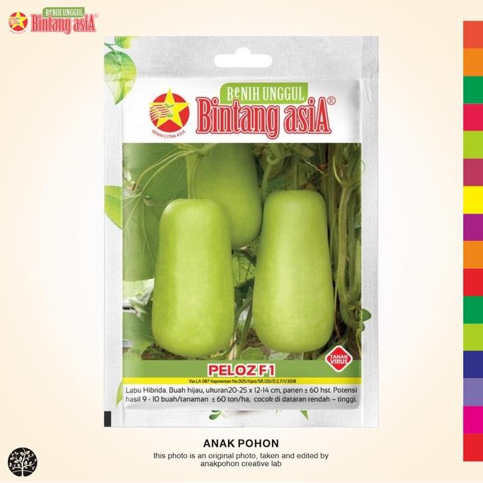 Jual (1 PACK) Benih Labu Air PELOZ F1 Hijau Terang Jenis Personal Size ...