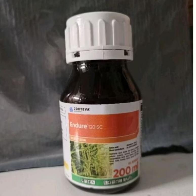 Jual Endure 120sc insektisida 200ml | Shopee Indonesia