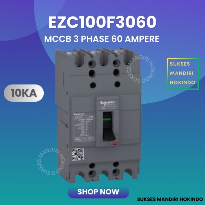 Jual Mccb 3 Phase 60 Ampere 3P 60A Original Sni Schneider Easypact Ezc100F | Shopee Indonesia
