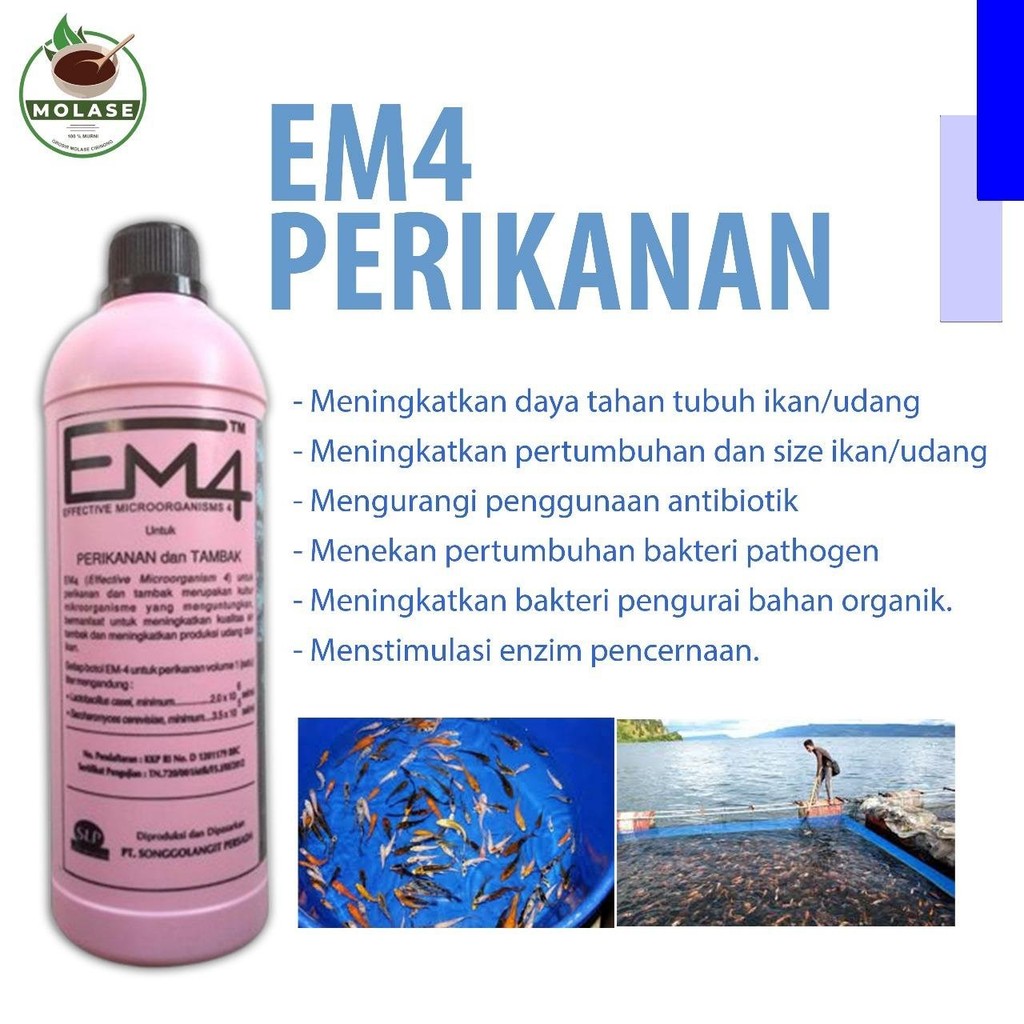 Jual Em4 Original Probiotik Perikanan (Starter Probiotik dan Bibis ...