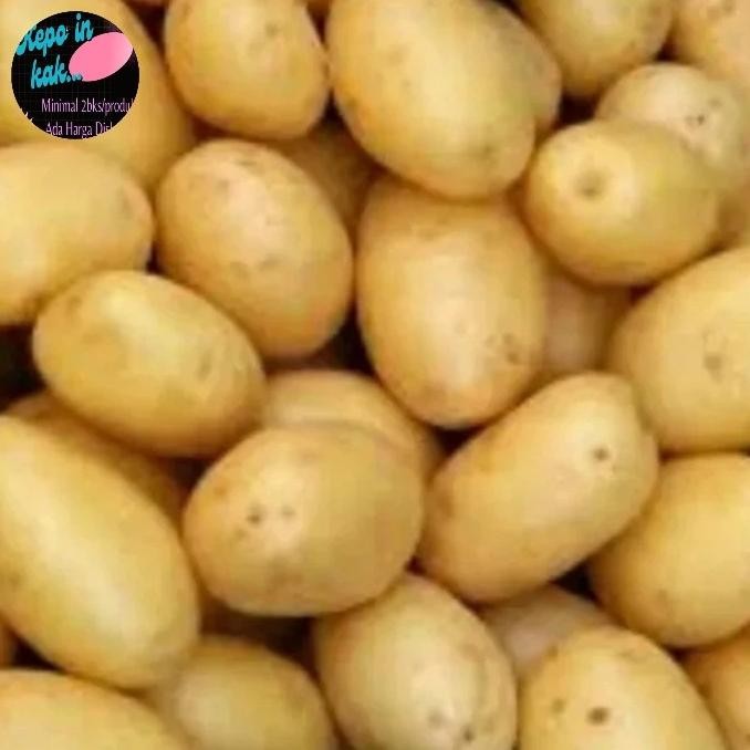 Jual Kentang Dieng Kecil 1 Kg Original | Shopee Indonesia