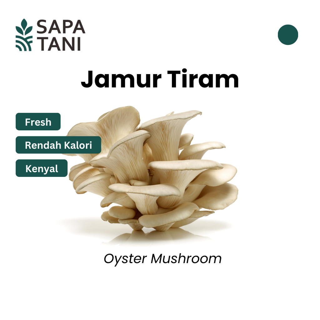 Jual Jamur Tiram Segar 100 gr Sapatani Jamur Lembut untuk Tumisan dan ...
