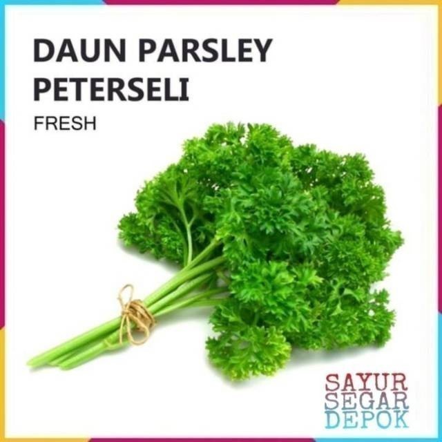 Jual PARSLEY / PETERSELI 250 GRAM | Shopee Indonesia