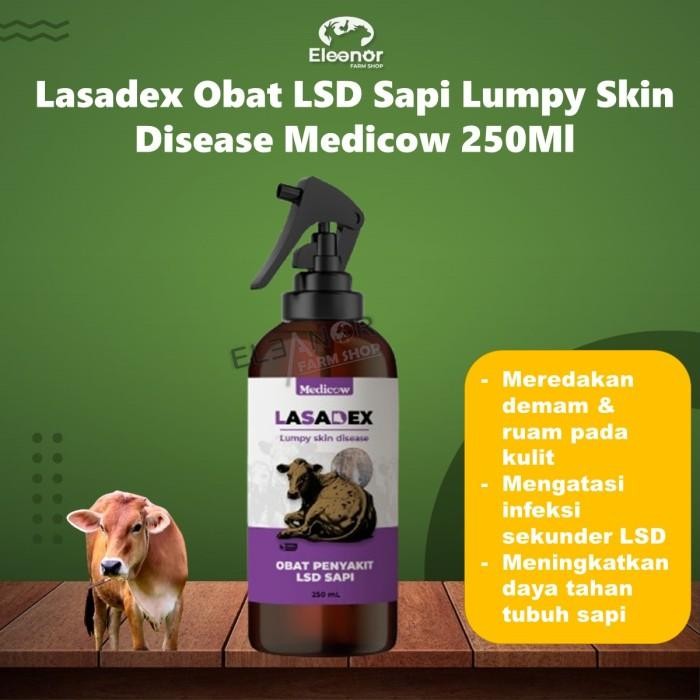 Jual Medicow Lasadex Obat LSD Sapi Lumpy Skin Disease Obat Lato Sapi ...