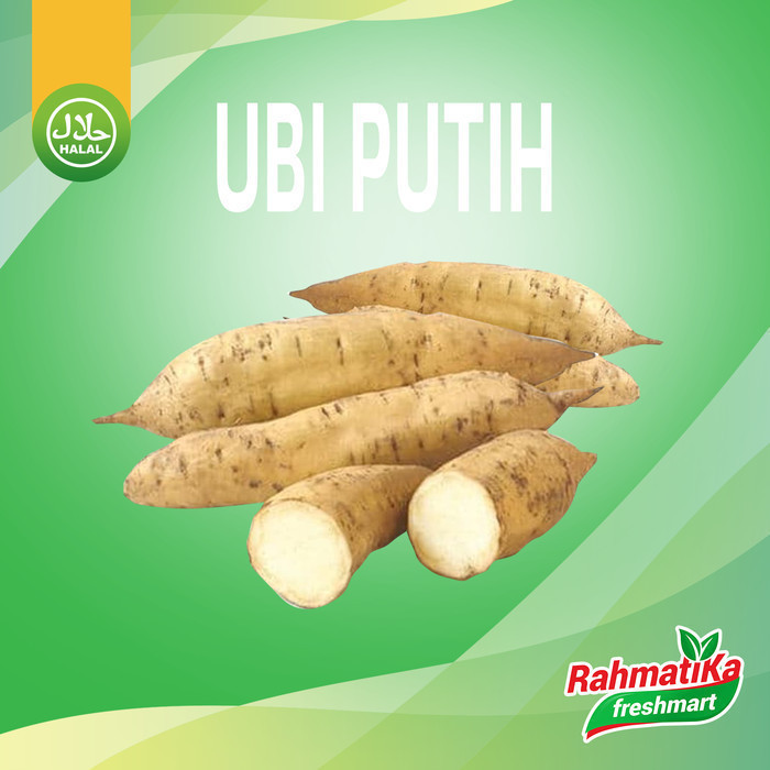 Jual Ubi Putih Mentah 1 Kg | Shopee Indonesia