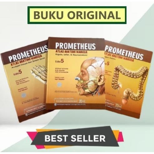 Jual ORIGINAL - PROMETHEUS Atlas Anatomi Manusia - 3 jilid - Edisi 5 ...