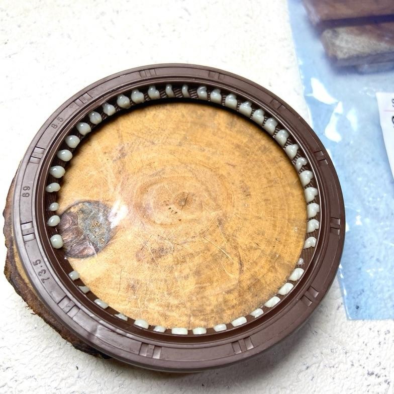 Jual Seal Sil Kruk As Belakang Toyota 9004A-31064 Avanza Xenia Agya ...