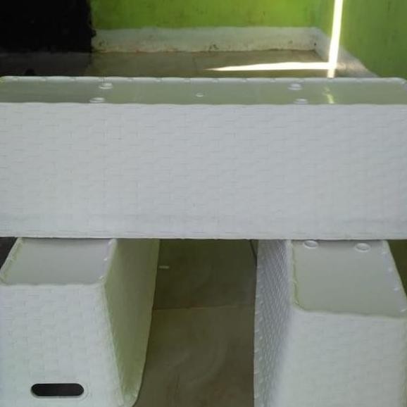Jual Pot Bunga Panjang 60Pot Panjang Putih | Shopee Indonesia