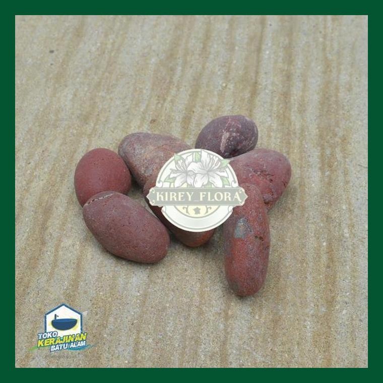 Jual Batu Koral Alor Merah Asli Cocok Untuk Taman Dan Carport | Shopee ...