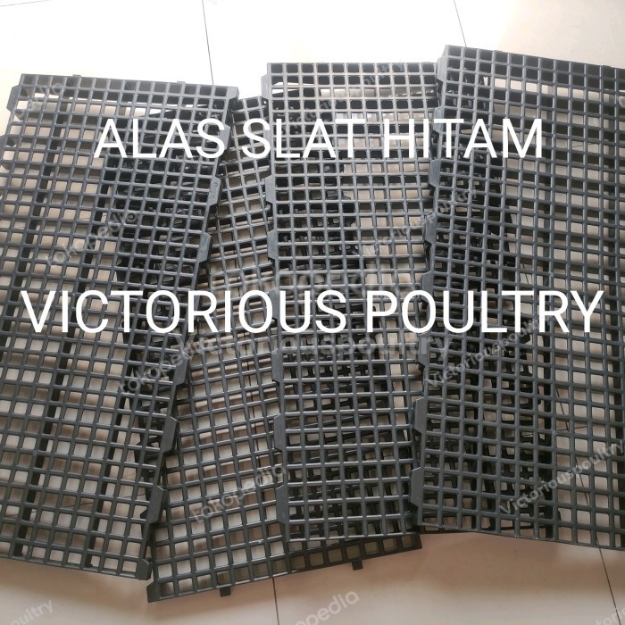 Jual Slat Plastik Hitam Alas Kandang Plastik Domba/Ayam/Kambing/Ikan/Anjing | Shopee Indonesia