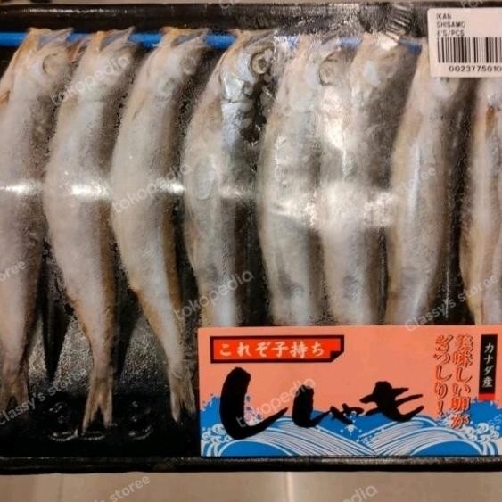 Jual ikan shisamo capelin isi 8/ikan shisamo telur/frozen food Termurah ...