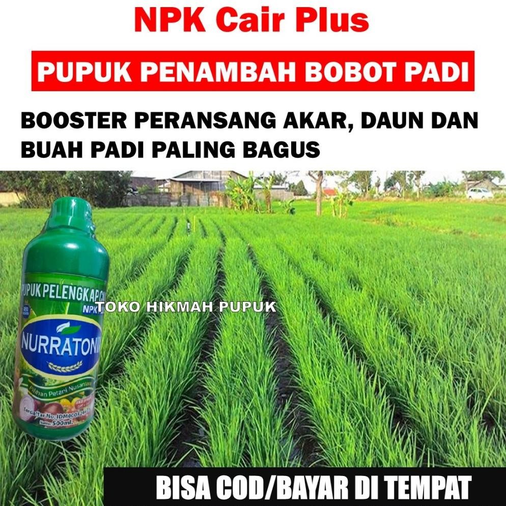 Jual fs-6 OBAT UNTUK ANAKAN PADI AGAR LEBAT DAN BANYAK, PUPUK NPK NURRATONIX isi 500 ML ...