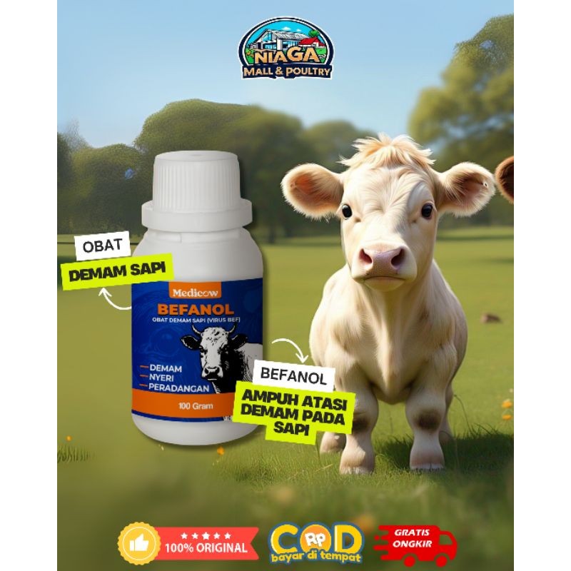 Jual Medicow Befanol Obat Demam Sapi (BEF) | Shopee Indonesia