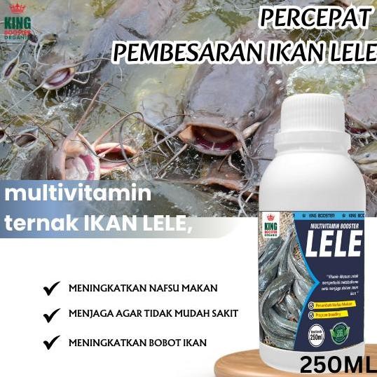 Jual Terlaris Suplemen Cair Ikan Lele, Vitamin Ikan Lele Agar Cepat ...