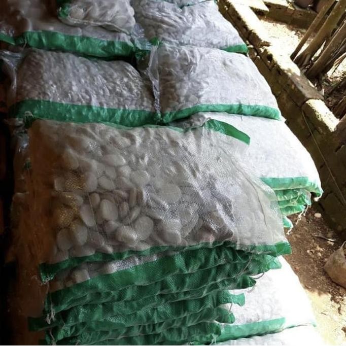 Jual fresh Batu Koral Putih kupang / Batu taman/ Batu Tabur Putih untuk ...